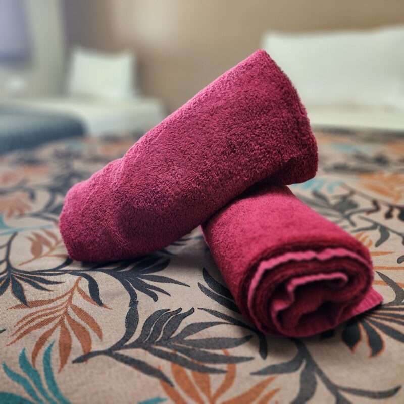 Rooms - Beagle Hotel